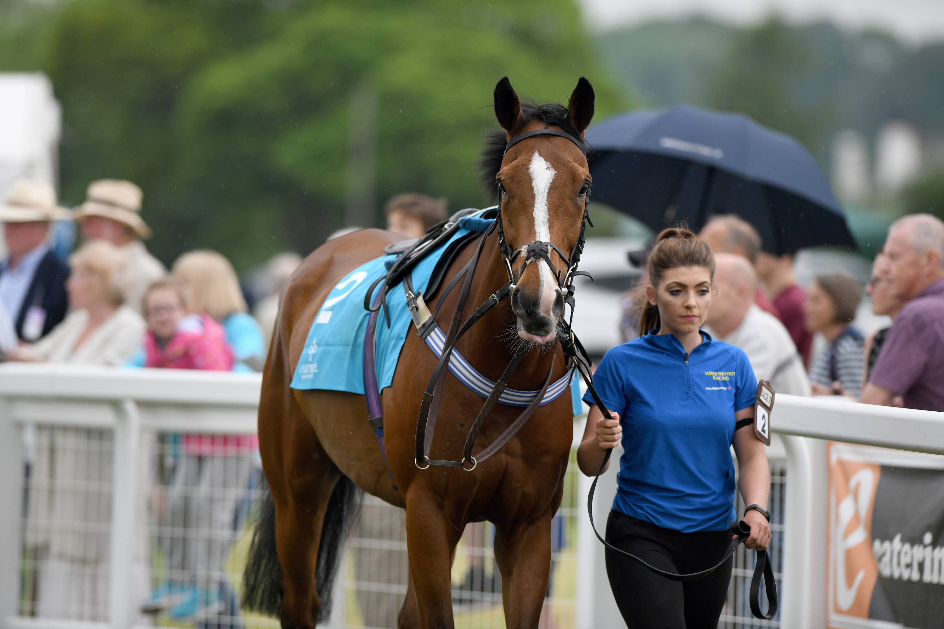 Staff wanted at James Moffatt Cartmel stables - Horse Racing News and Tips