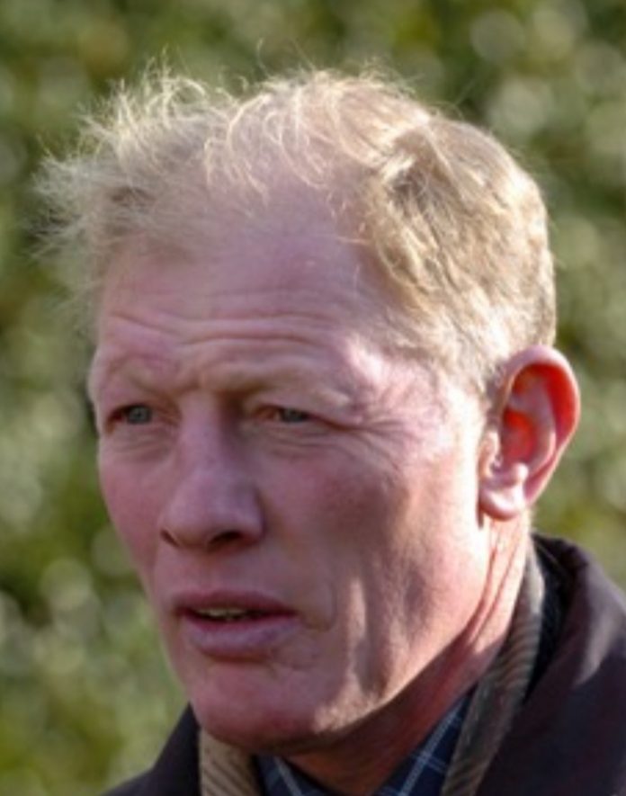 Flaminger and The Brothers fromthehorsesmouth.info Fontwell double ...