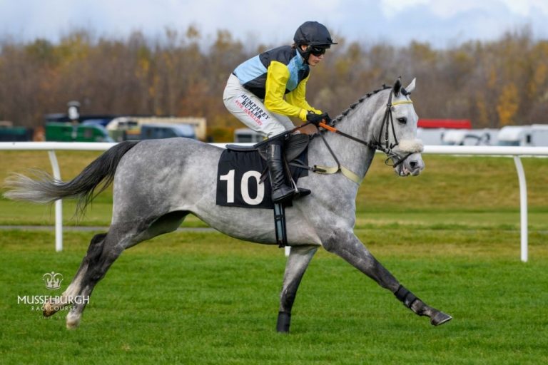 McGinty’s Dream back in tractor shed after Hexham win! - News, Sport ...