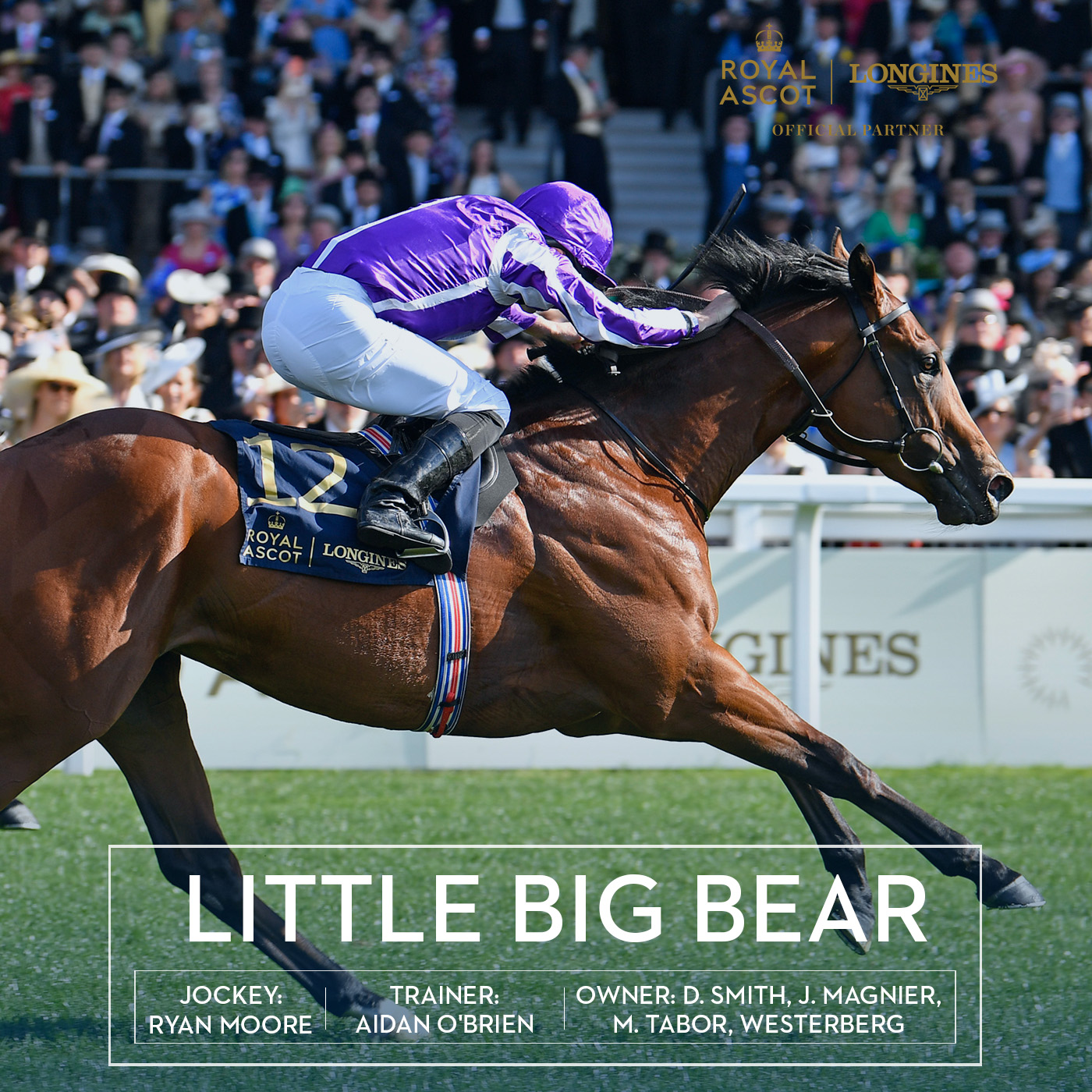 Royal Ascot review Day 2 – Little Big Bear lands Windsor Castle Stakes ...